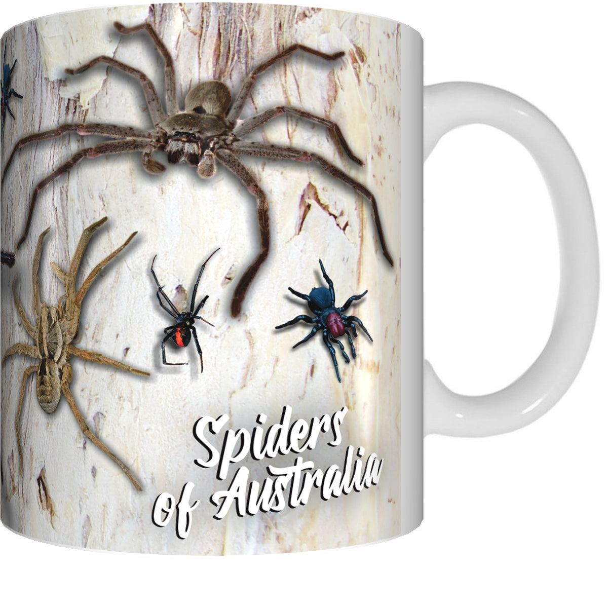 SPIDERS Mug 07-92-2669 – Fair Dinkum Gifts